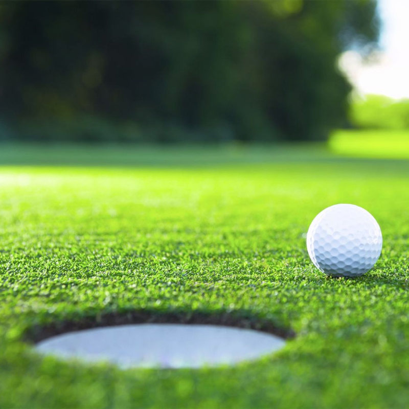Green Trong Golf Là Gì? Những Điều Người Nhập Môn Cần Biết